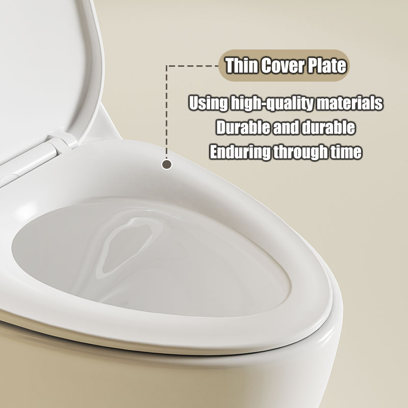 Water Closet | Household Toilet | Siphon Flushing | Water Closet Toilet ...