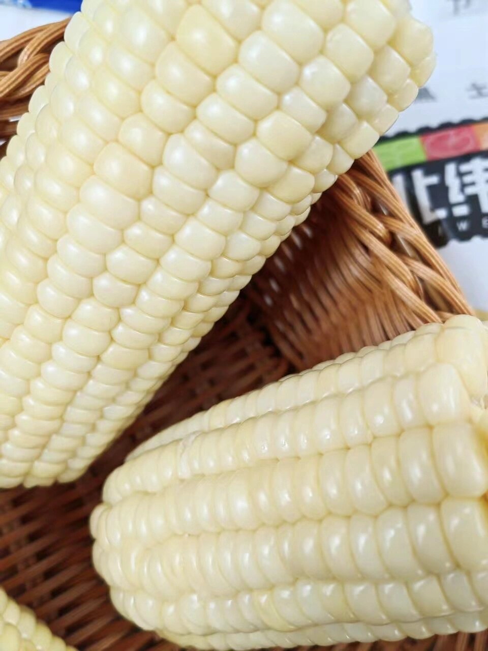 (20 seeds) WHITE LAGKITAN CORN - Waxy Corn | Shopee Philippines