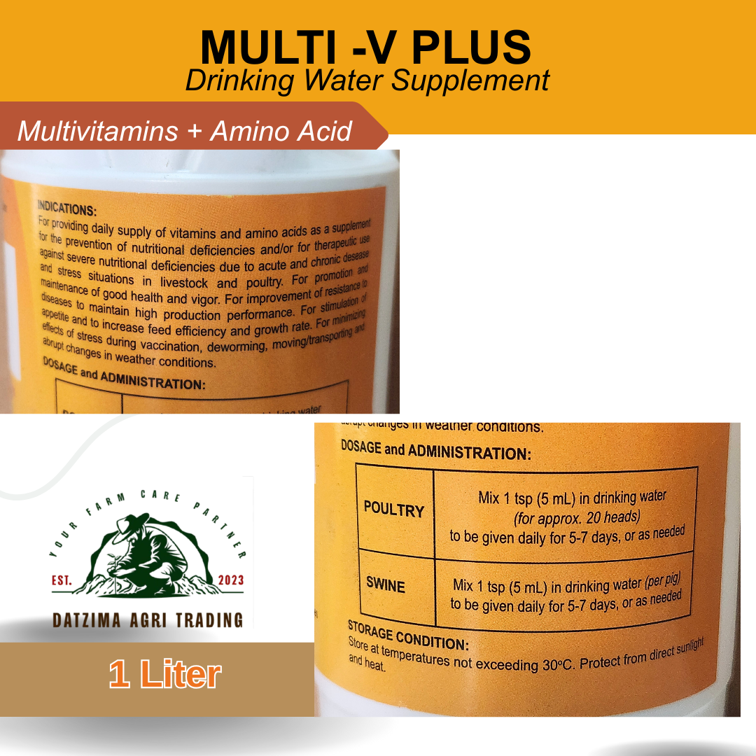 Multi-V PLUS Multivitamins + Amino Acid 1Liter | Shopee Philippines