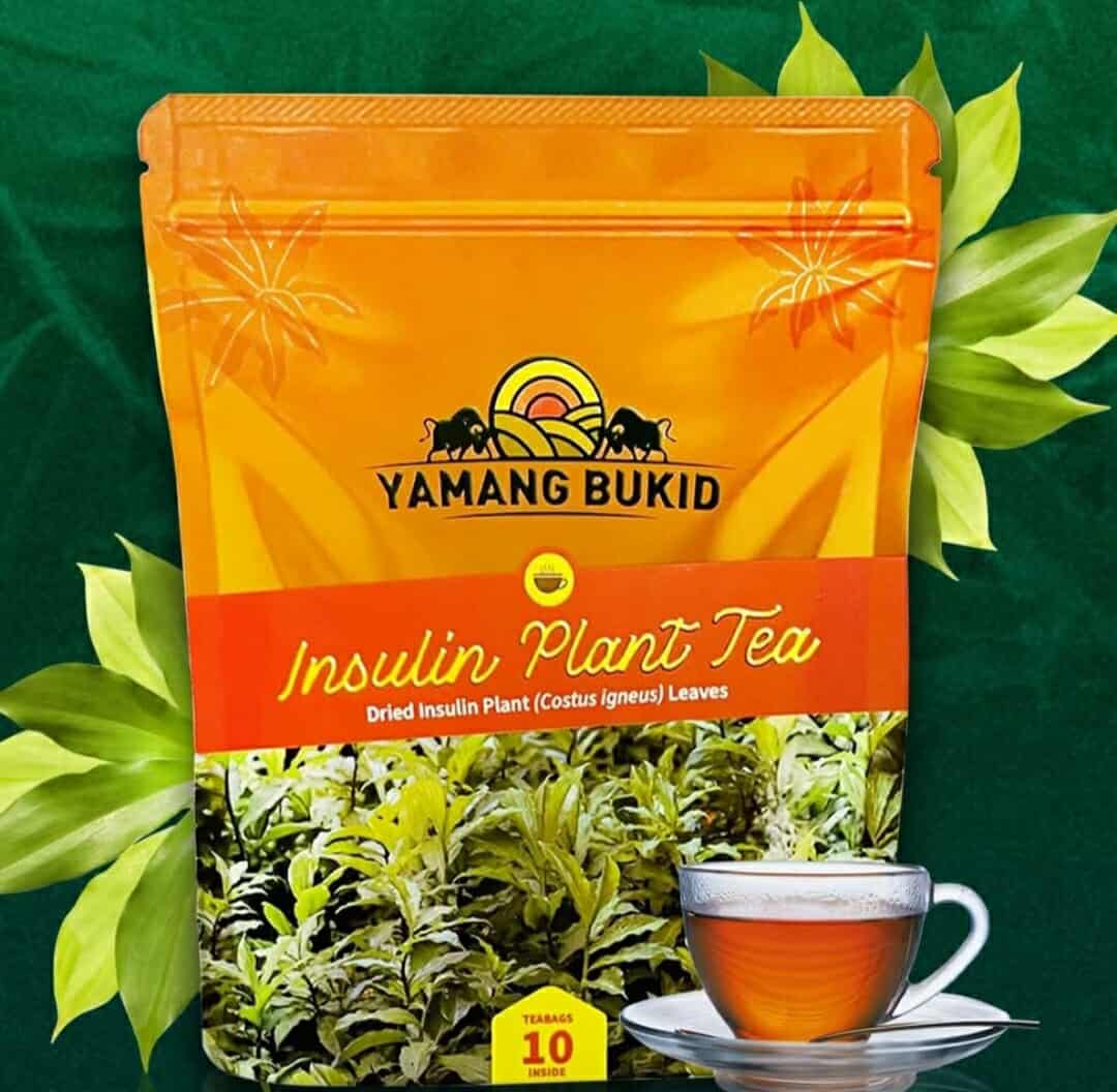 All Natural Insulin Premium Plant Tea : 10 Tea Bag Product of Yamang ...
