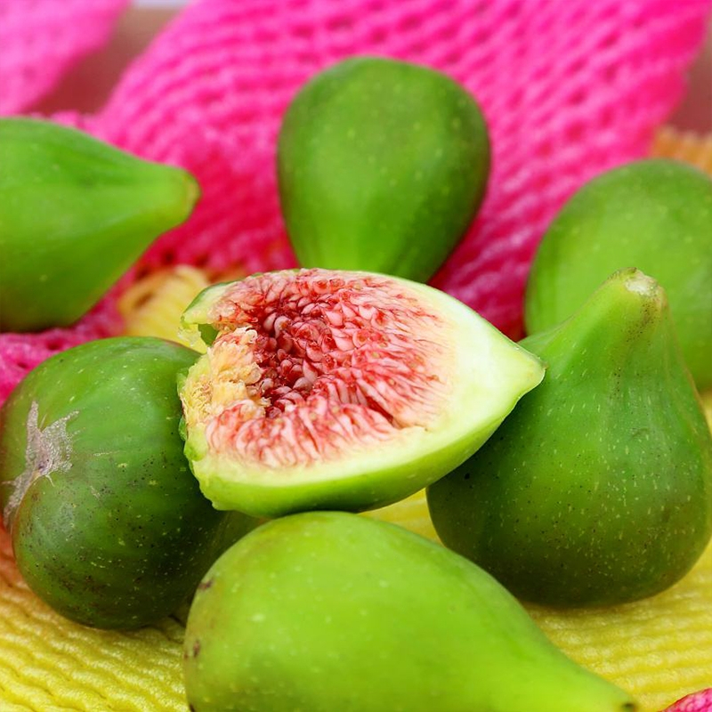 ( 600 Seed)Fig Tree Seeds for Planting Fruits Edible Ficus Carica ...
