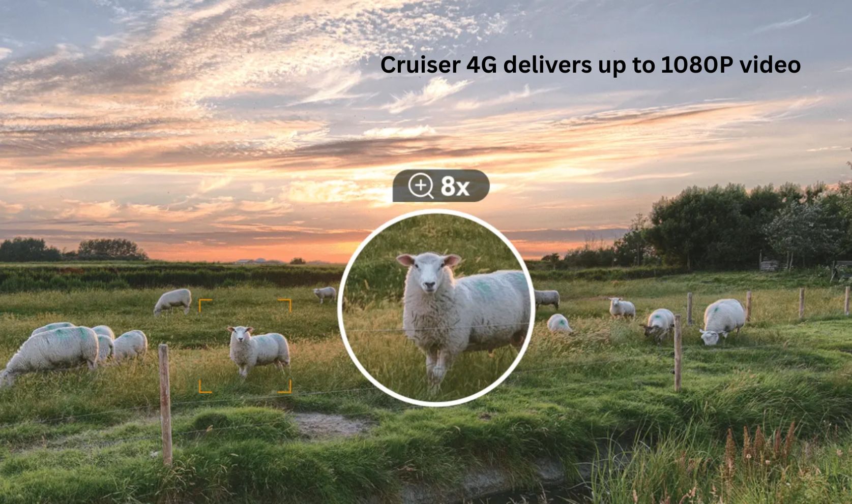 IMOU Cruiser 4G 1080P P&T Camera, 4G Connection with Smart Color Night ...