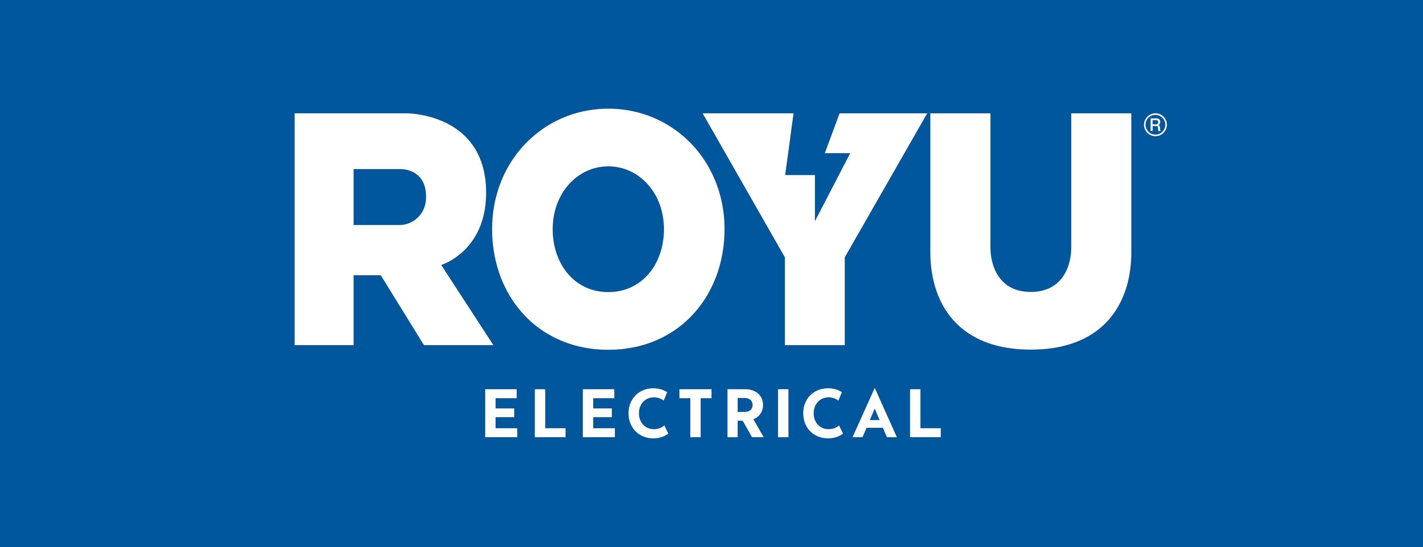 Royu Wide Series Two (2) Gang Switch with Reflector (WD513) 250V, 10A ...