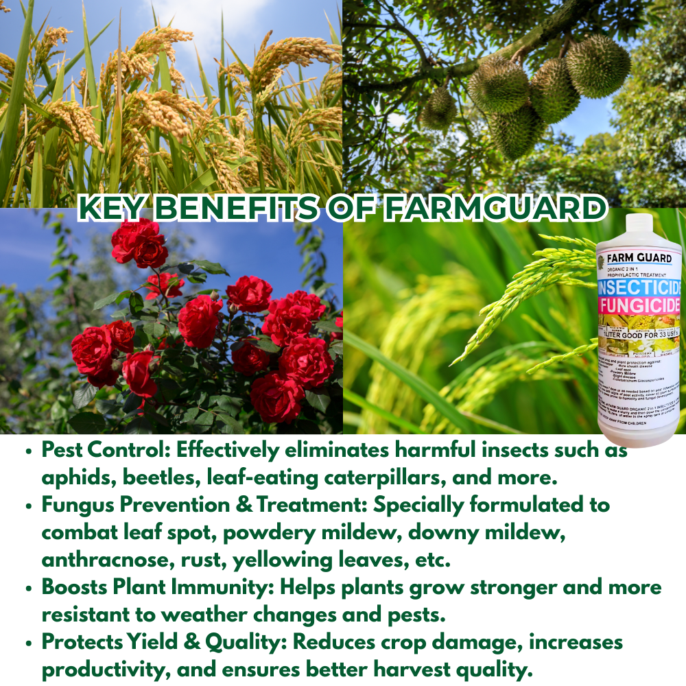 [Best Fungicide] Farm Guard 500ml Organic Insecticide & Fungicide for ...