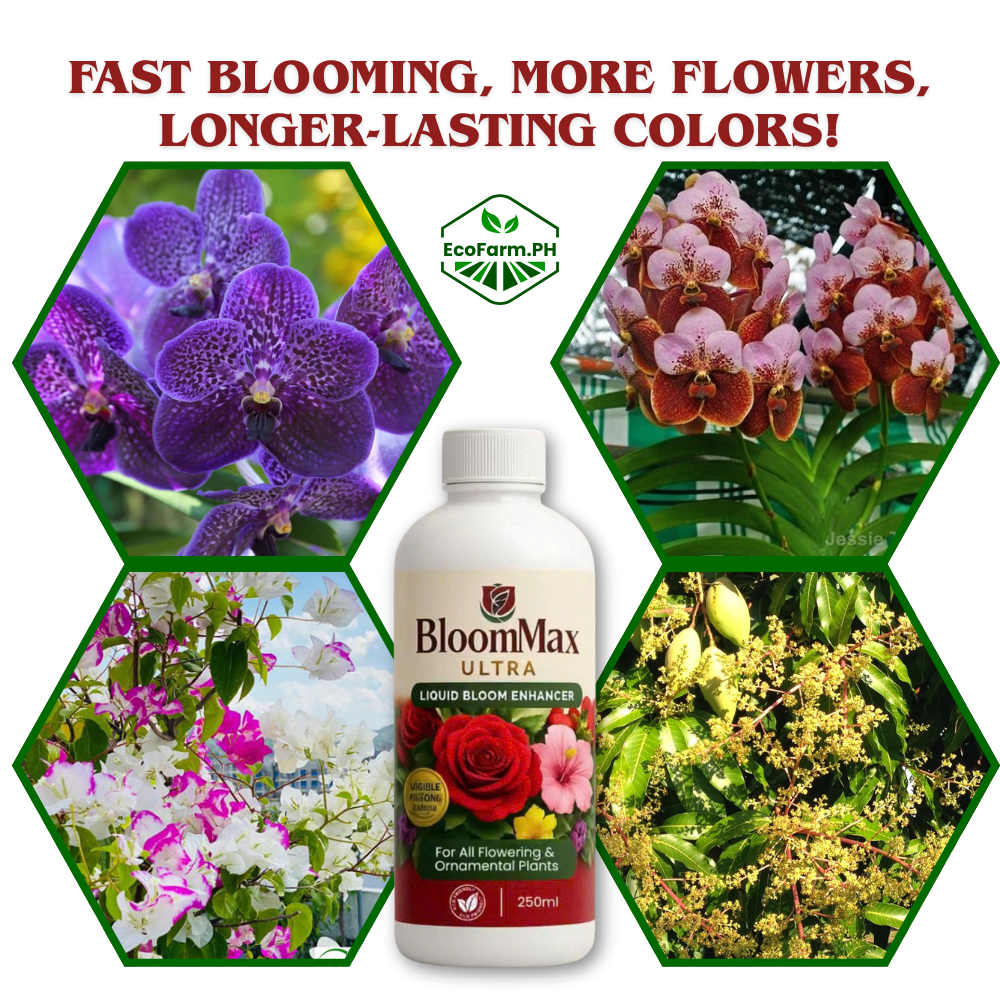 BloomMax Ultra 250ml Liquid Bloom Enhancer Organic Fertilizer for ...