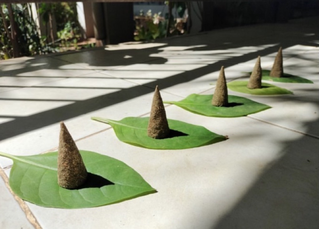 All-Natural Katol Cones | TRIAL POUCH (5 cones) | Shopee Philippines