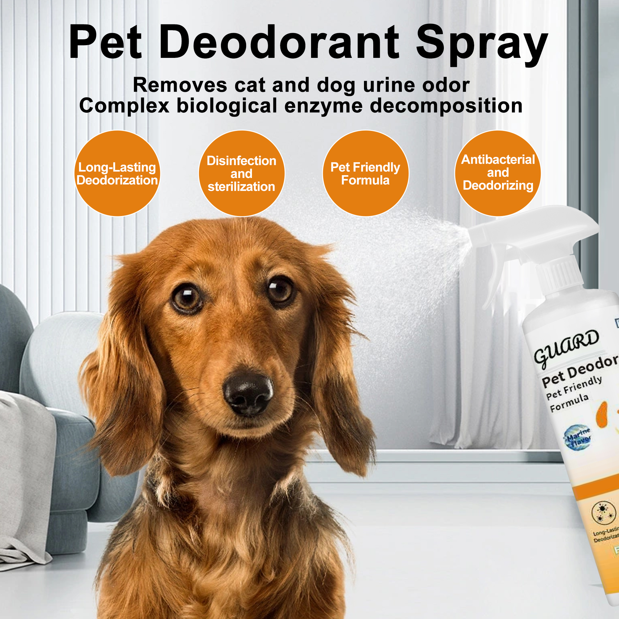 Pet Deodorizing Spray Dog and Cat Urine Feces Deodorant Special ...