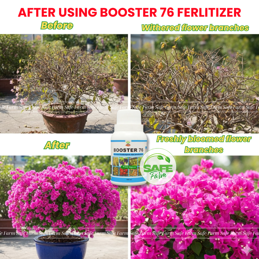 [SALE 70%] BOOSTER 76 FERTILIZER 150ML – Boosts plant growth and ...