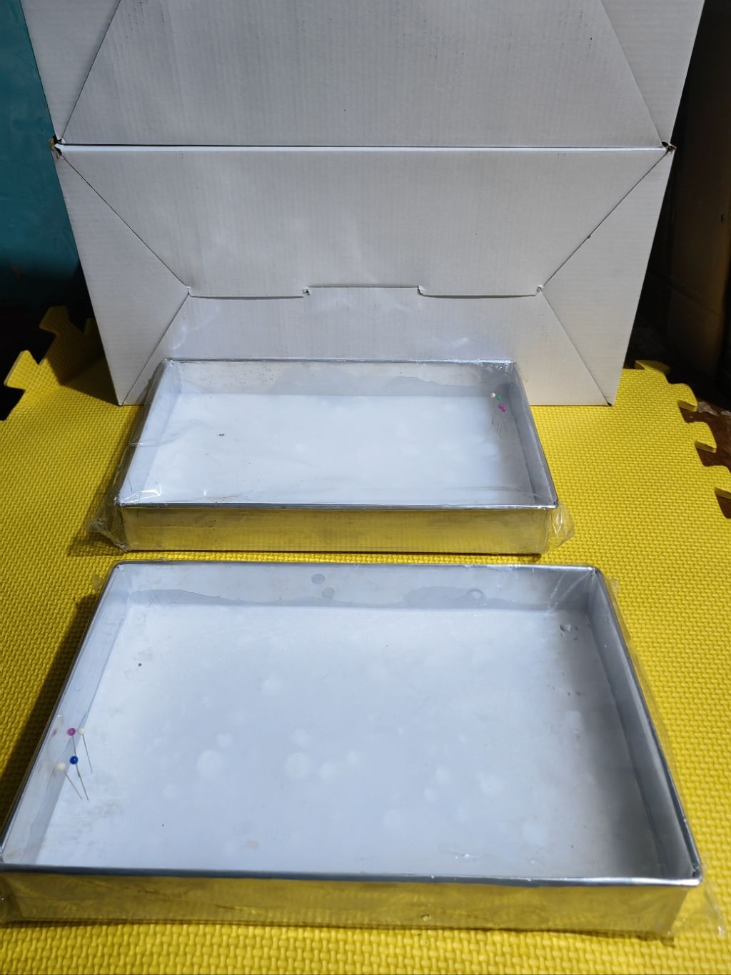 Dissecting pan with pin & wax ( 1 pc ) | Shopee Philippines