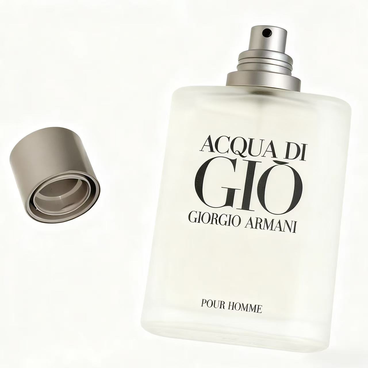 Giorgio Armani Acqua di Gio Pour Homme EDT 100ml Men's Perfume Classic ...