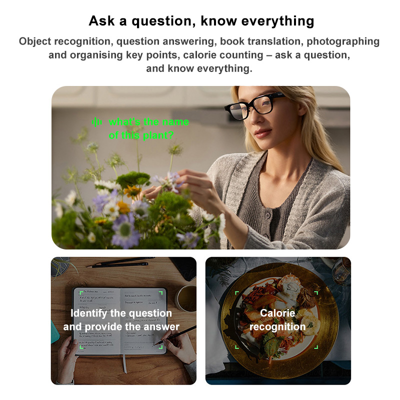 Rokid AI Glasses: Object recognition,Real-time Translation, Photography ...