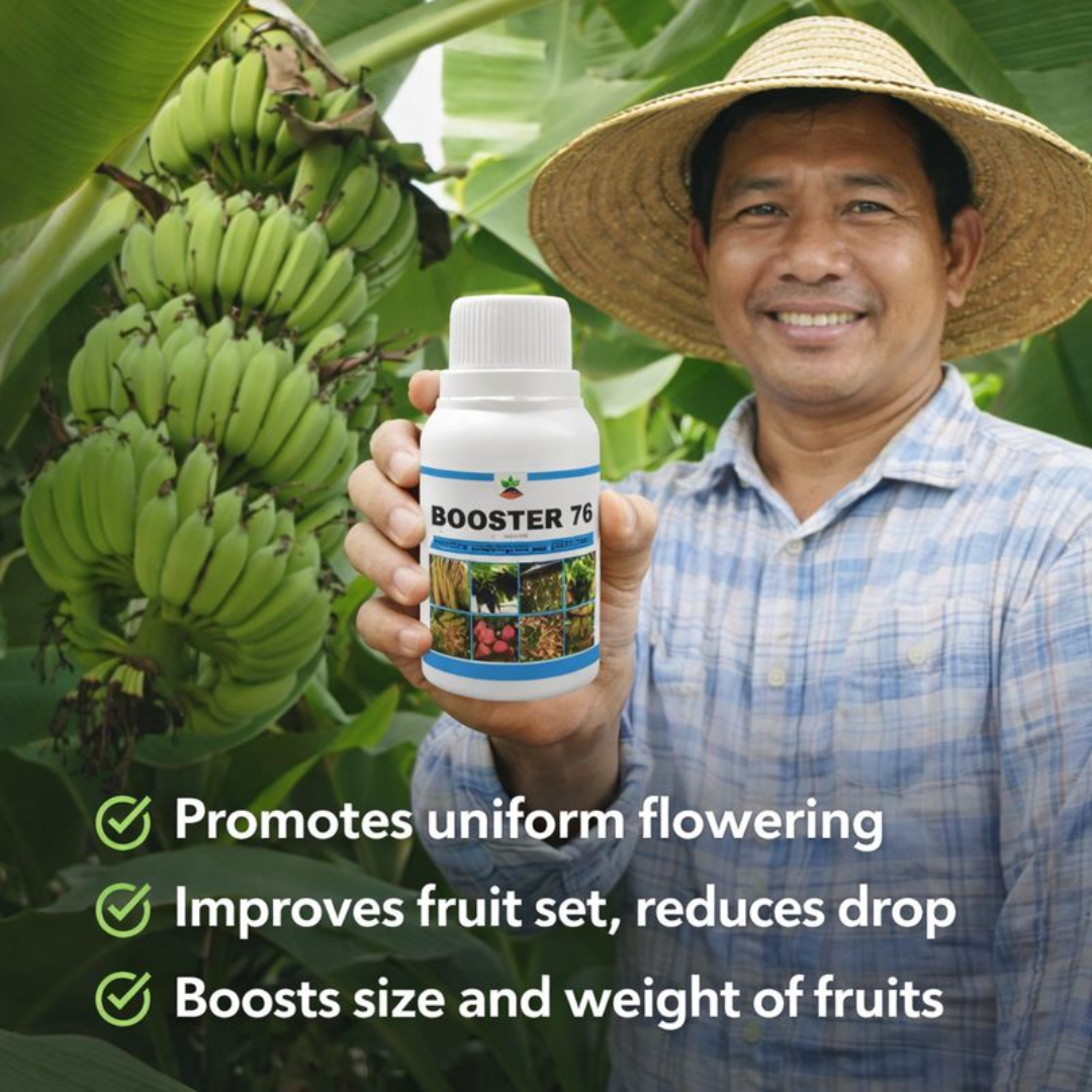 Booster 76 (500ml)/Organic Plant Fertilizer, Stimulates Flowering ...