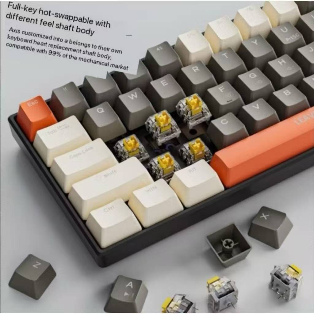 Leaven K780 78 Keys RGB Backlight Wired Detachable Hot-Swappable ...