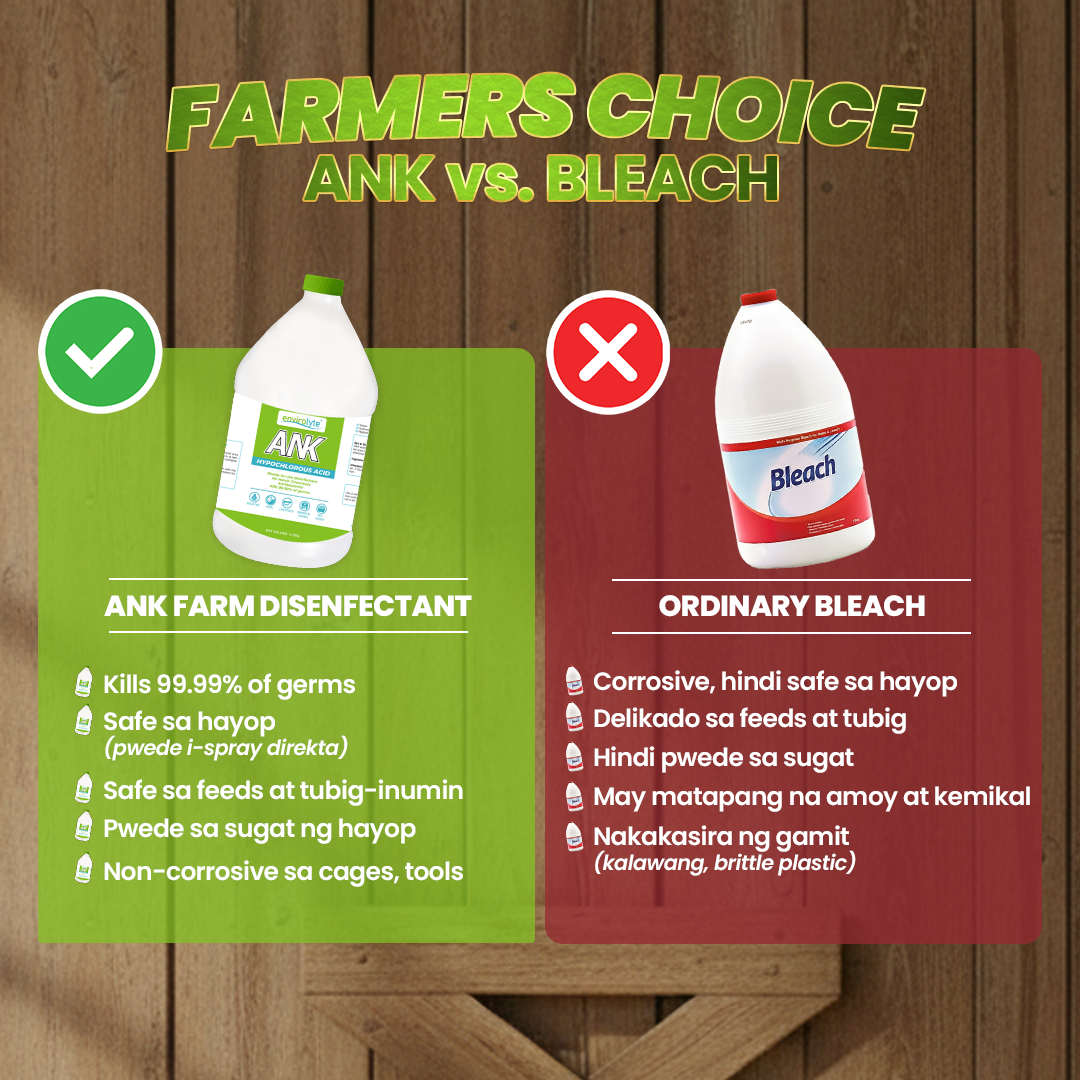 Effective Solution for Biosecurity, Odor Eliminator and Piggery ...