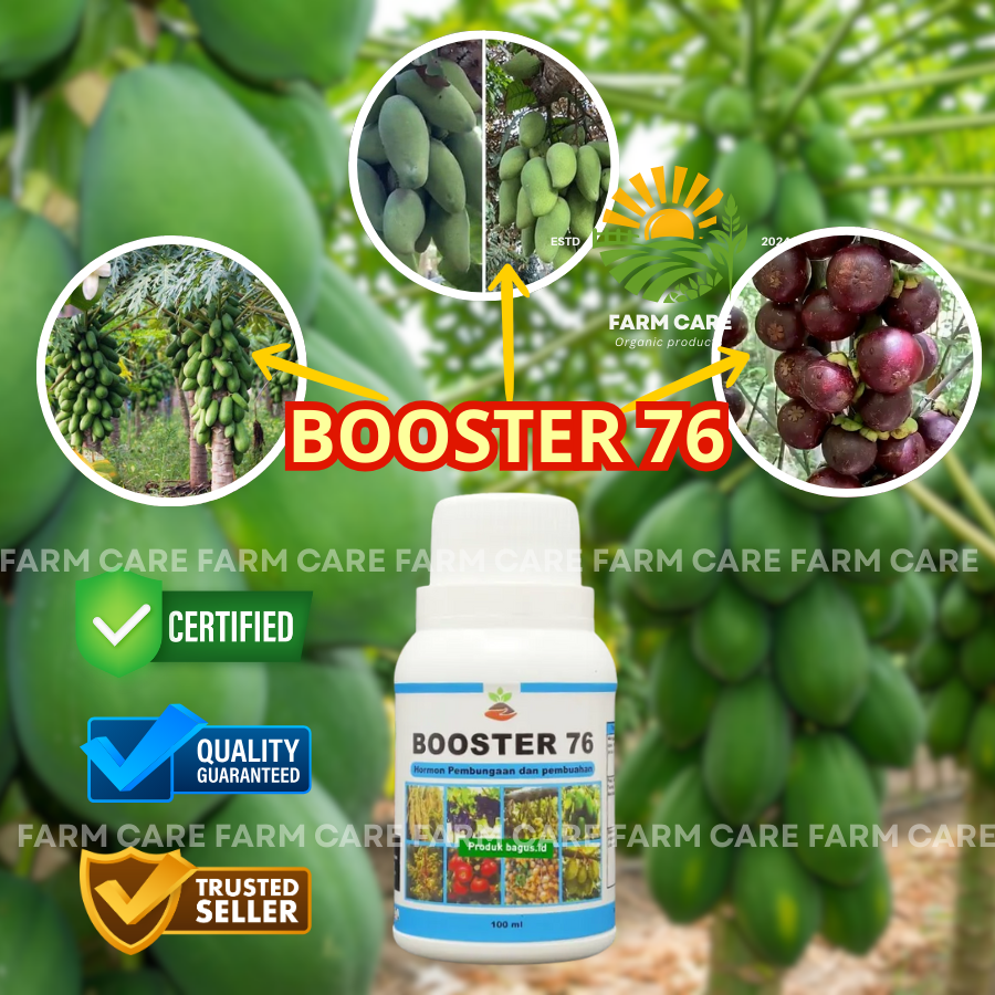 Booster 76 – Ligtas at Epektibong Solusyon para sa Pagpapalakas ng ...