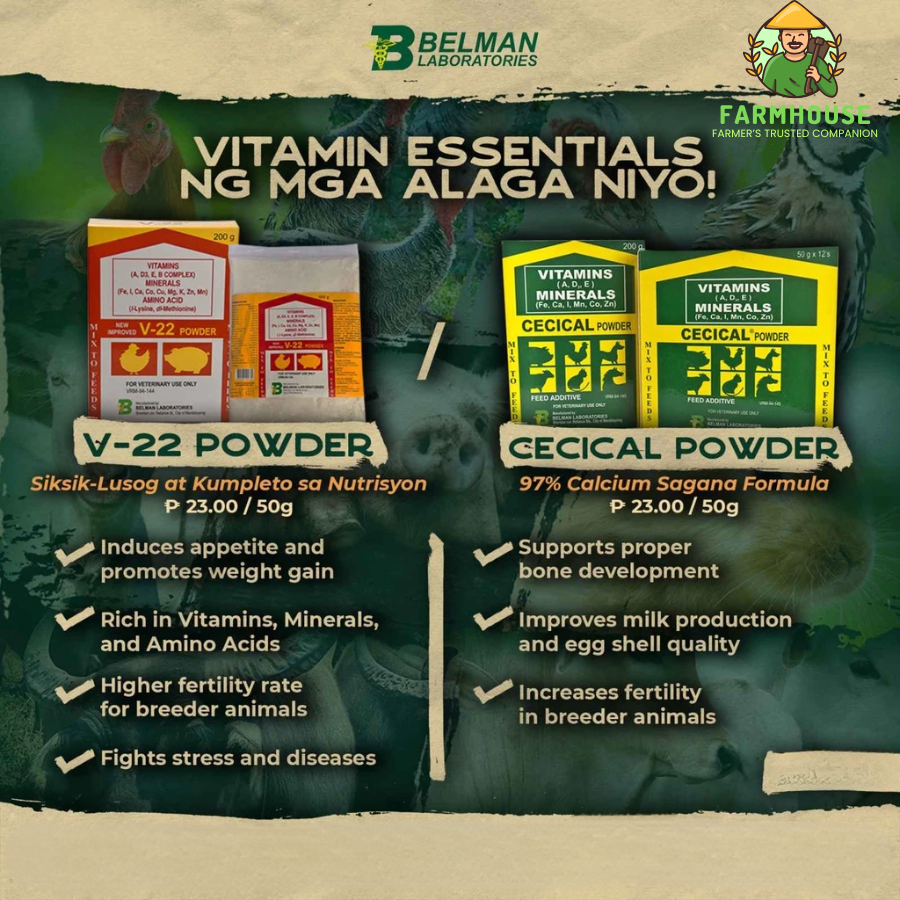 Viddavet 1 kg V-22 powder for pets livestock v22 vitamins for pigs cow ...