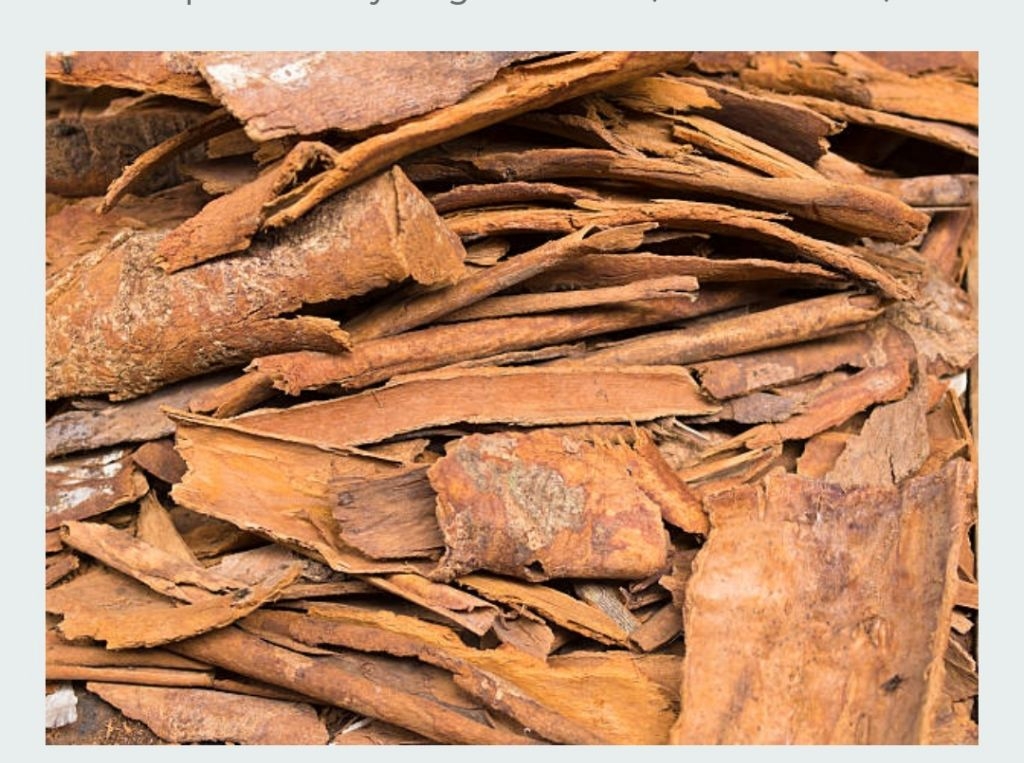 cinnamon bark sticks 100g | Shopee Philippines