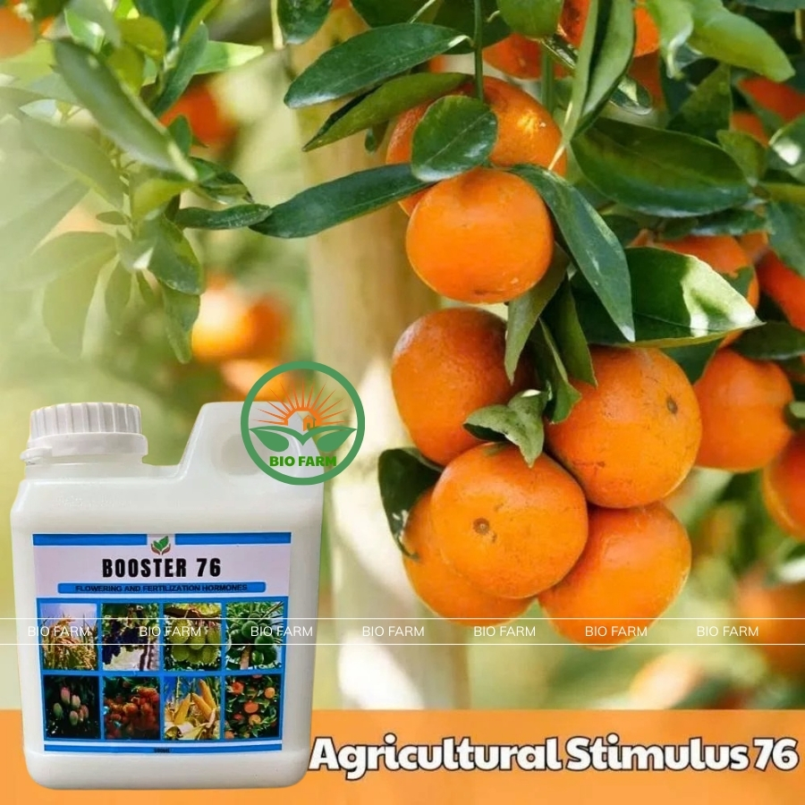 Booster 76 (500ml) Organic Fertilizer for Plantations, Strong Flowering ...