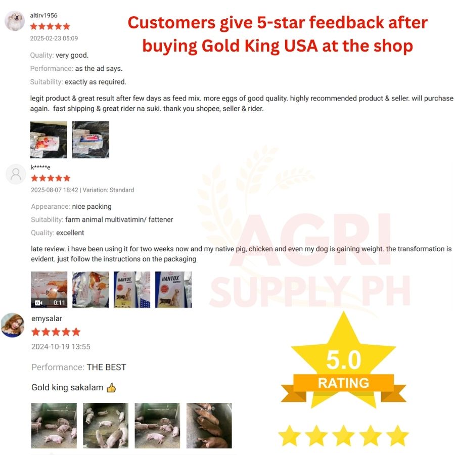 [COMBO 8 PACKS] GOLD KING USA BEST HEALTH ROUTINE SUPPLEMENTS for ANIMALS 250g | Shopee Philippines