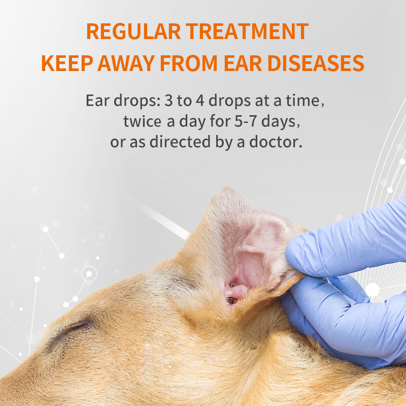 PUAINTA Ear Drops for Dogs and Cats Ear Infection Earmites Remove ...