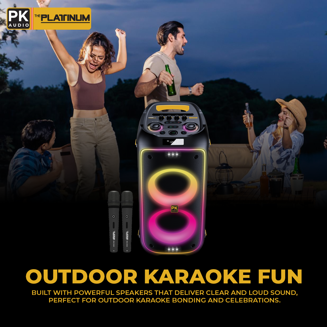 Platinum Karaoke DK65 Duo Party Jukebox Karaoke and Music Bluetooth ...