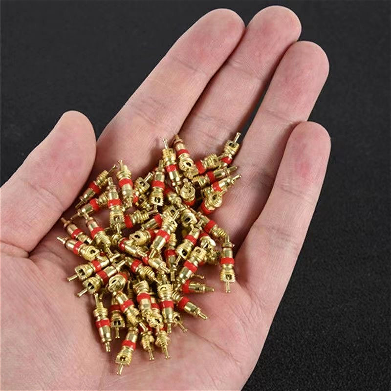 100PCS Valve Stems Pure Copper Valve Cores for Bicycle, Motorcycle ...