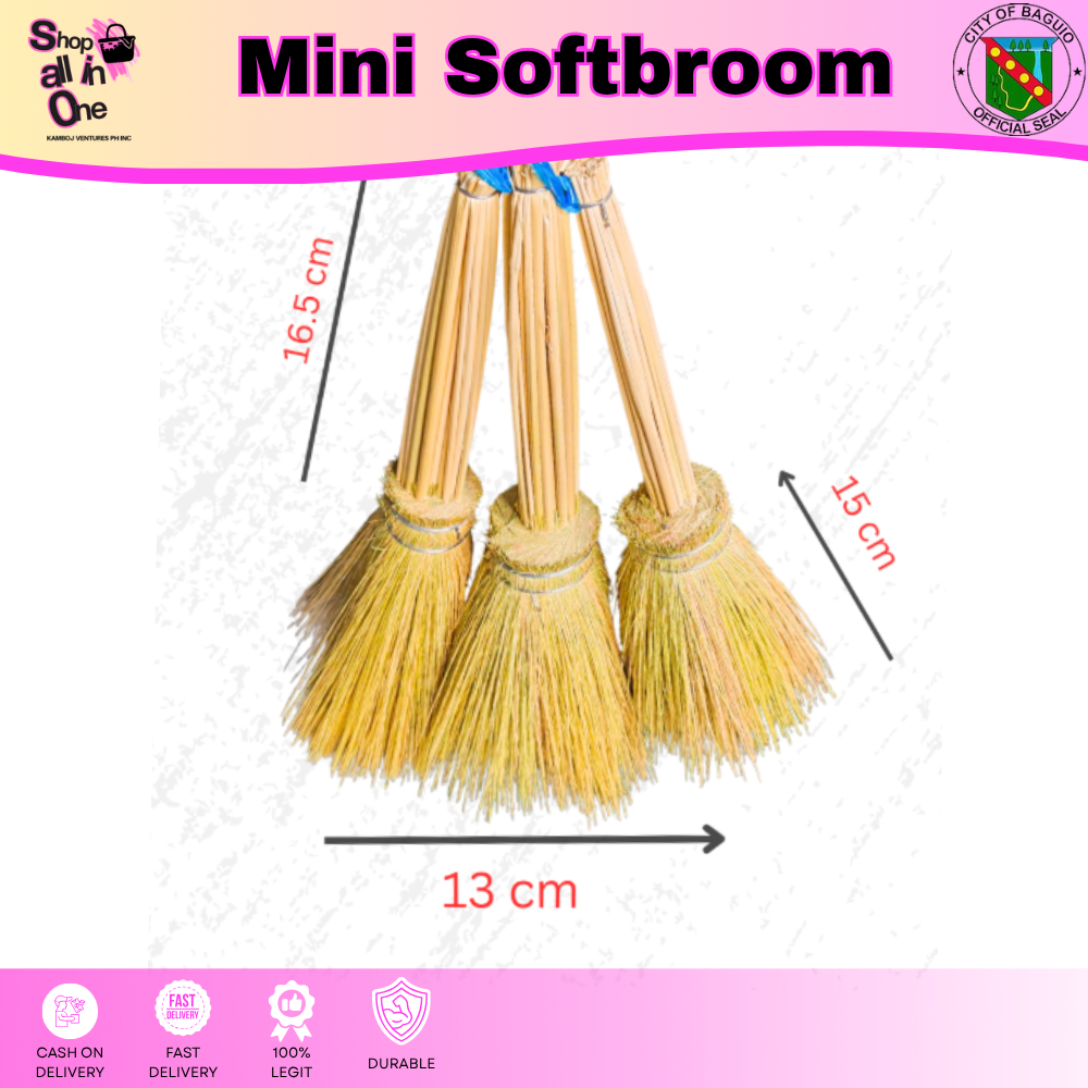 shopallinone MINI WALIS broom Walis Duster Pang-agiw Small Broom ...