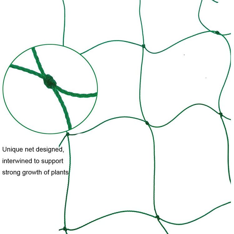 3M x 100M Nylon Mesh Garden Trellis Net for Climbing Plants, Vegetables ...