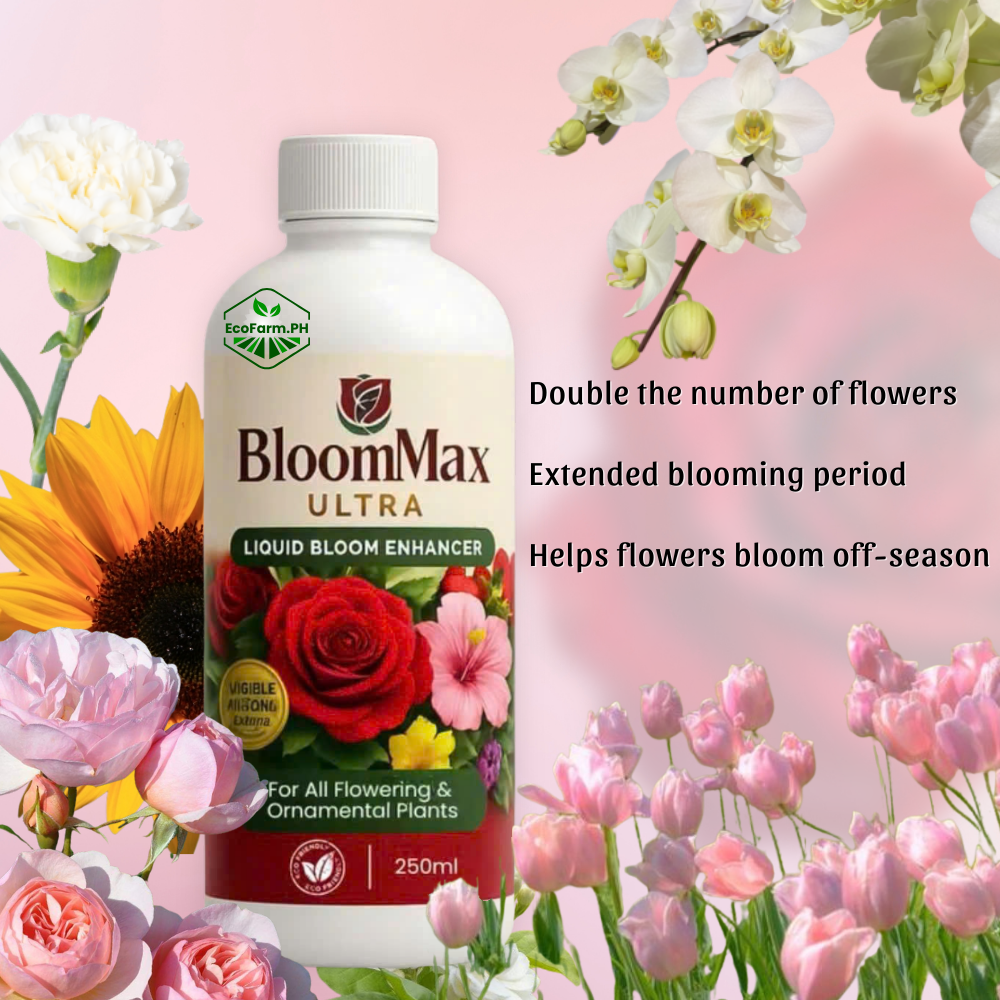 BloomMax Ultra 250ml Liquid Bloom Enhancer Organic Fertilizer for ...