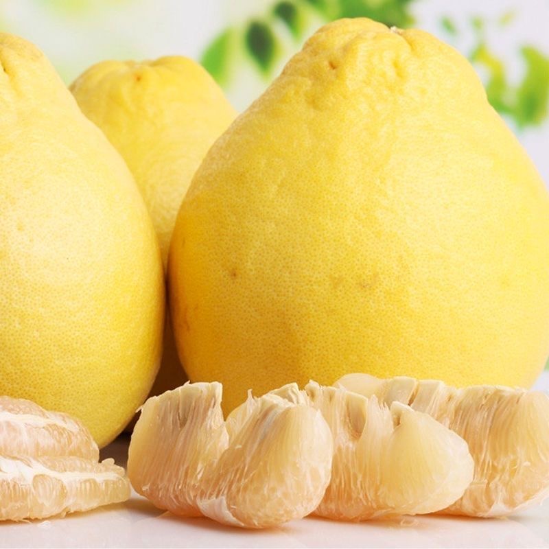 10 seeds Pomelo Seeds For Planting/Fresh Dwarf Red Pomelo Seeds Balcony ...