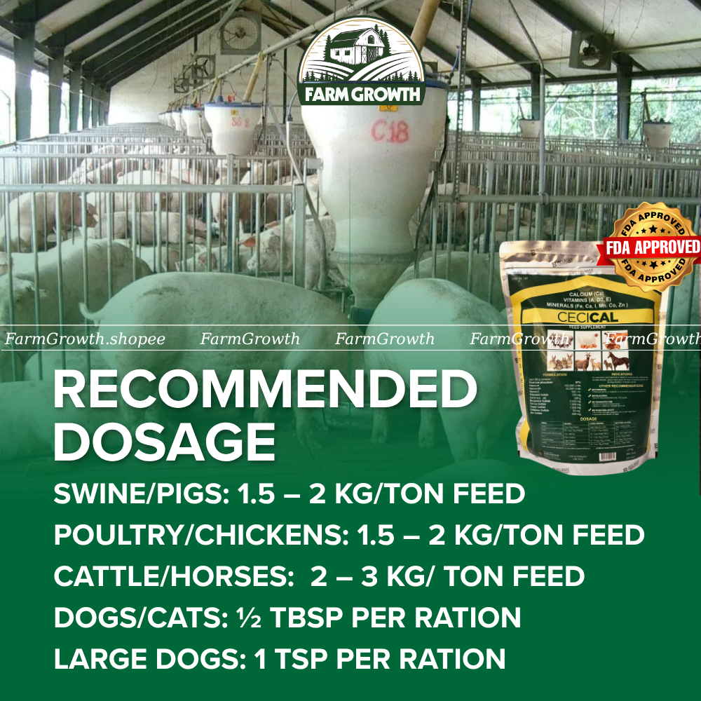 Cecical Powder 1kg for Pig | Bone Strength & Fertility Booster for ...