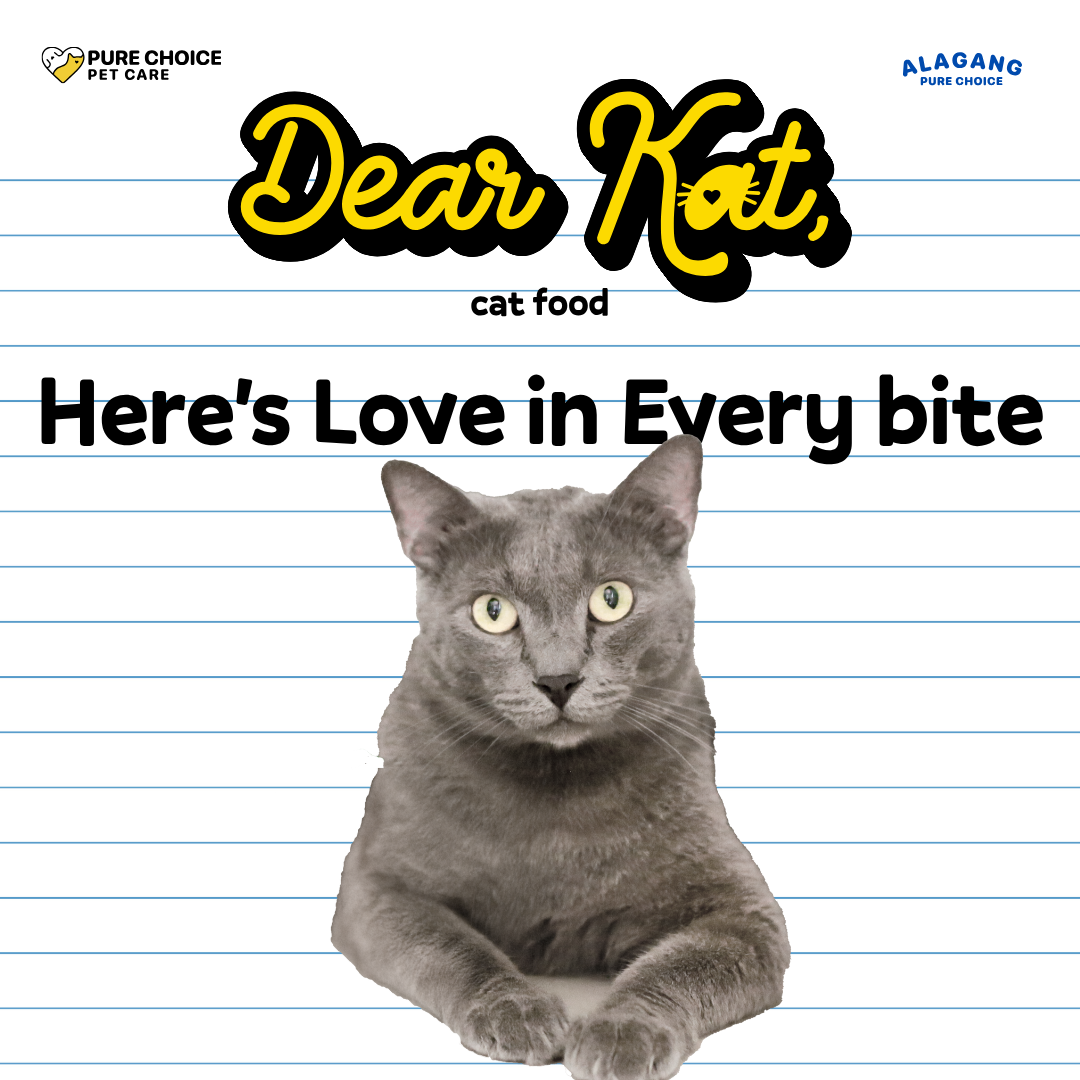 Dear Kat Dry Cat Food 20kg (Tuna Flavor) - Complete Nutrition for All ...