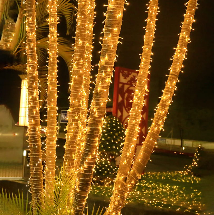 100 LED Christmas Lights 10M String Fairy Light with End Connector ...