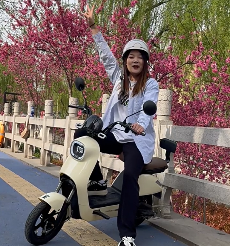 ANCHI E Bike 2 Wheels Electric Bikes Electric motorcycle 48v12AH Speed ...