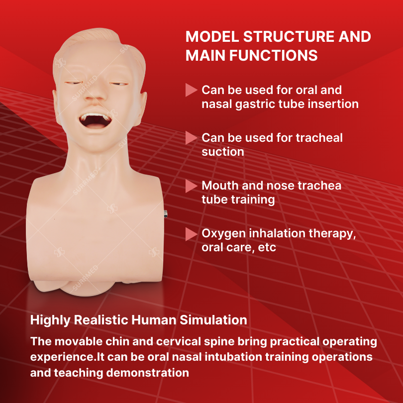 SURRMED Trachea Intubation Model | Airway Management Trainer for ...