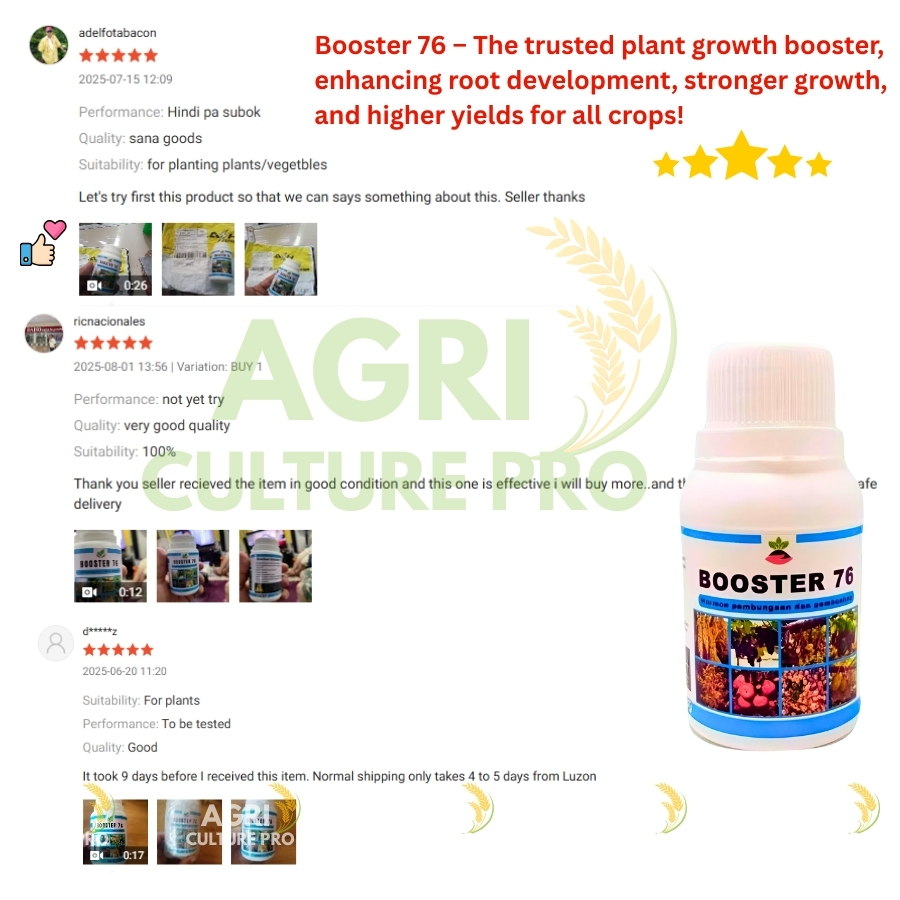 [BEST SELLER] Booster 76 fertilizer for vegetables and fruits boost ...