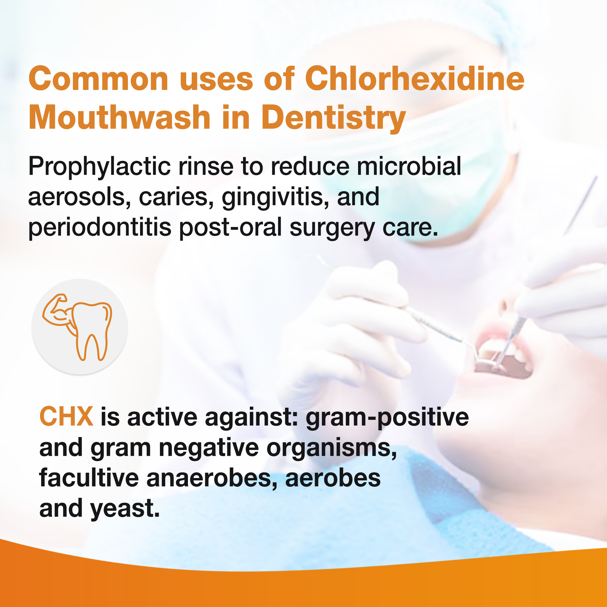 Sorexidine Oral Rinse 300ml Alcohol-Free Antimicrobial Mouthwash ...