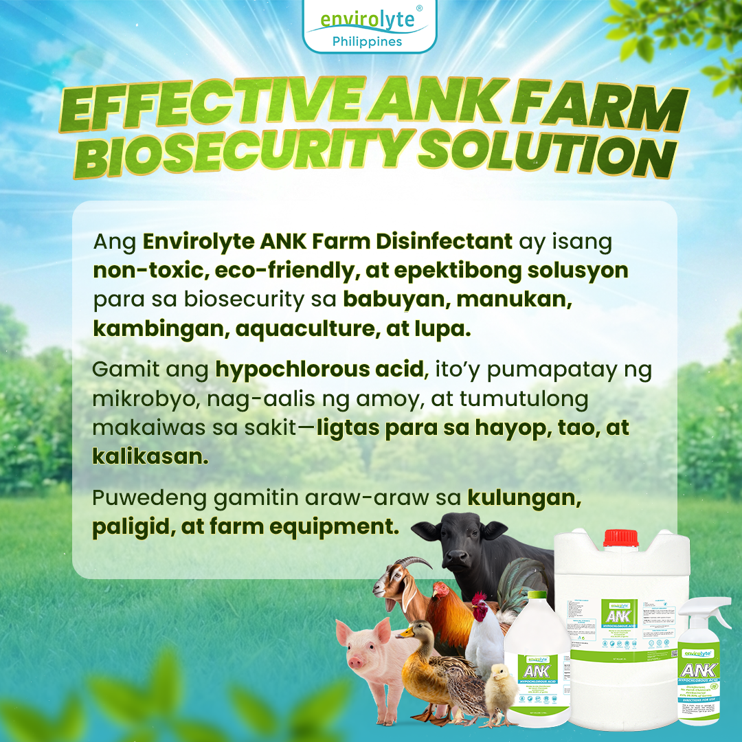Effective Solution for Biosecurity, Odor Eliminator and Piggery ...