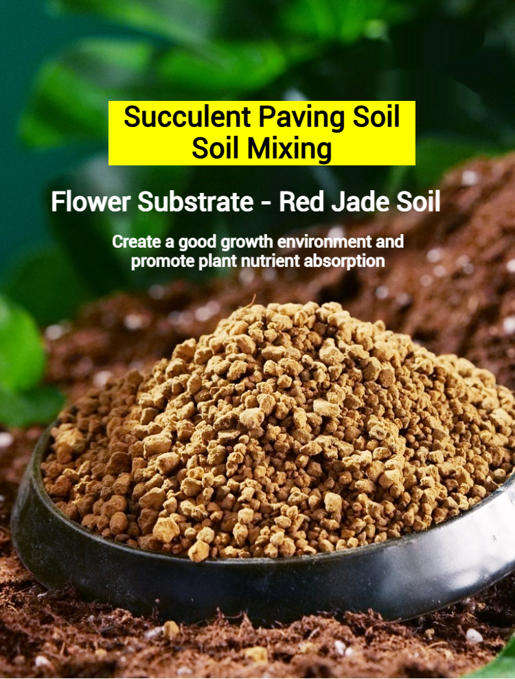 2.5KG Akadama Soil Premium Bonsai Soil Triple Line Soils from Japan ...