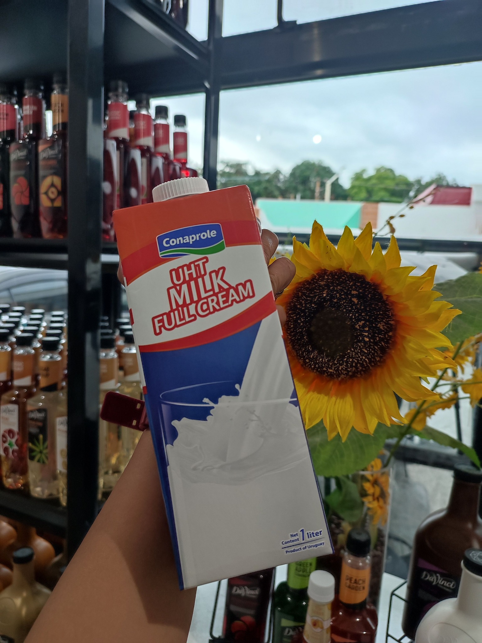 Conaprole UHT Full Cream Milk (Long Life Milk) 1L x 6,1L x9 and 1L x12 ...