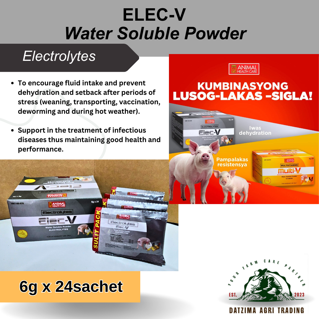 ELEC-V Electrolytes Water Soluble Powder 1box (6g x 24Sachet) | (6g x ...