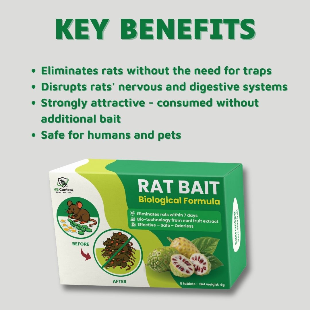 Rat Bait Biological Formula Effective Plant-Based Rat Killer Tablets ...