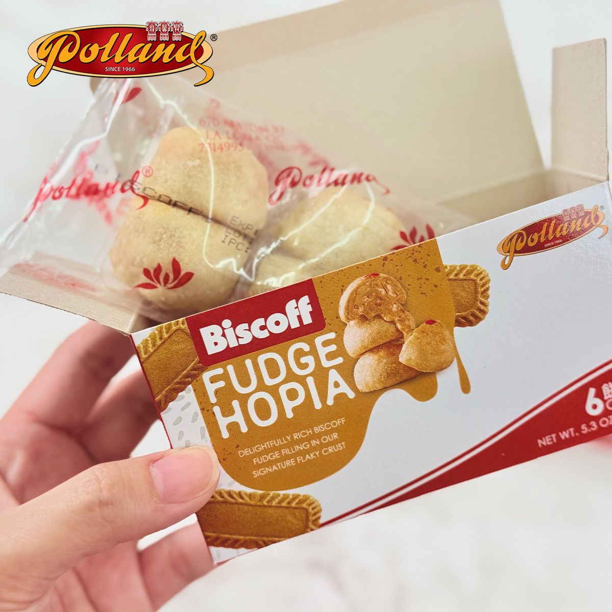 Polland Biscoff Fudge 6pcs 30grams per piece BITE SIZE | Shopee Philippines