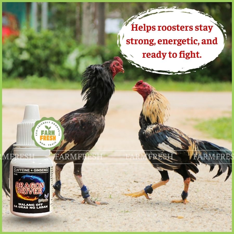 [BUY 1 GET 1 FREE ] Dragon Driver Battlecock Drop 10ml | Boosts ...