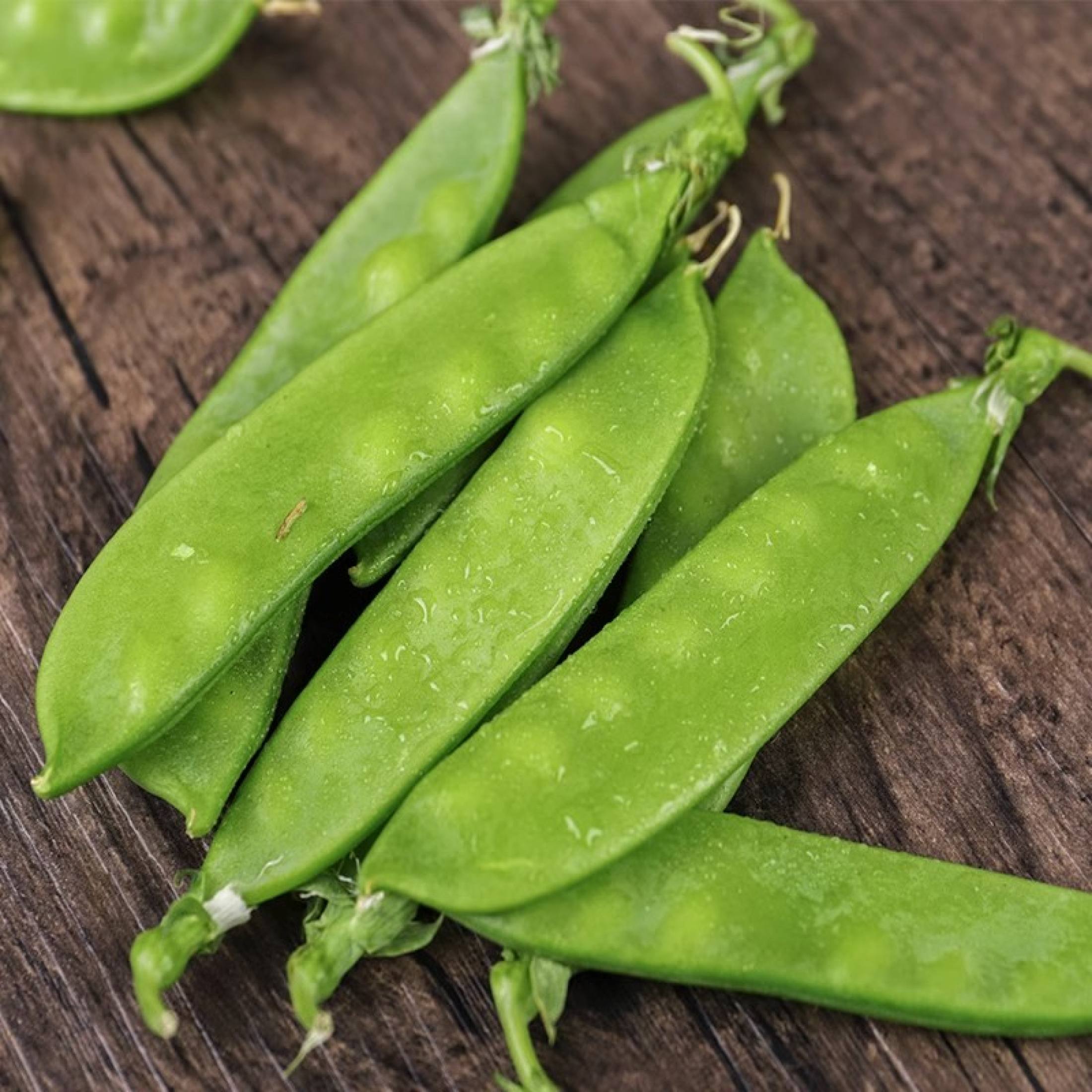 SNOW PEA seeds- ( 30 seeds ) Sitsaro seeds/ Chinese Pea / Snow Peas ...