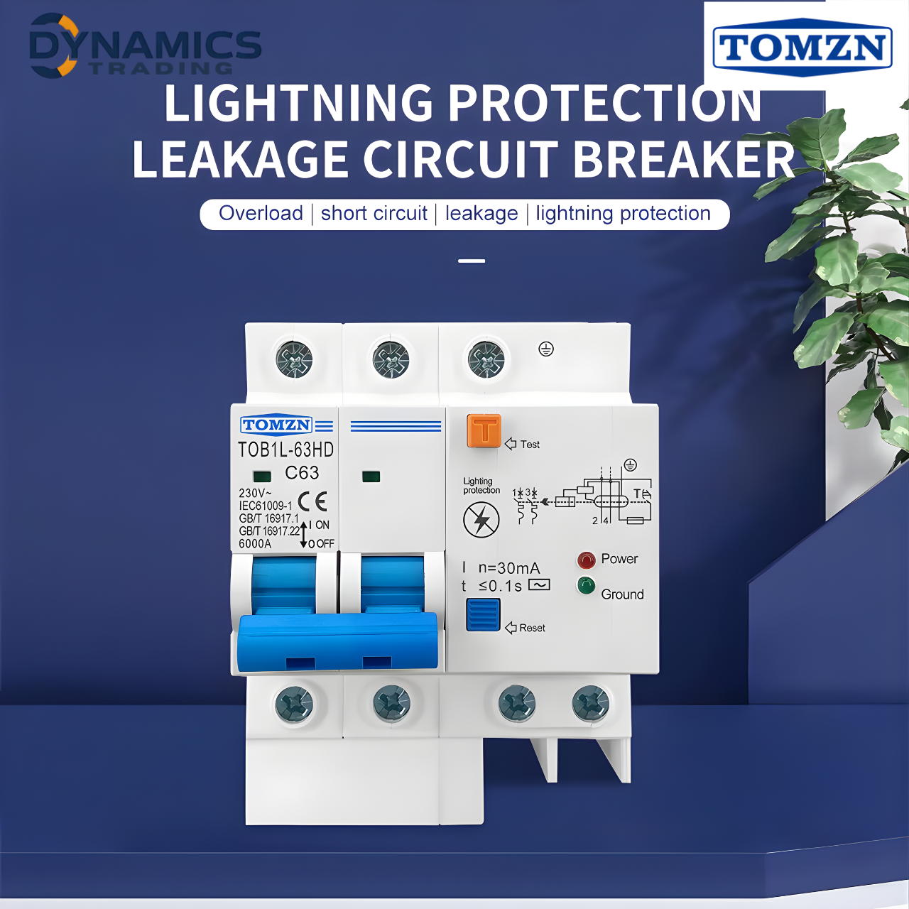 TOMZN RCCB Residual Current Circuit Breaker 2P w/ Ground | Lightning ...