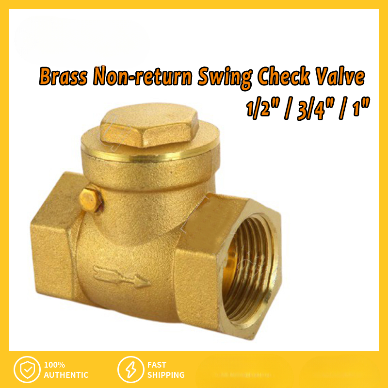Female Thread Brass Swing Check Valve Prevents Water Backflow | Shopee ...