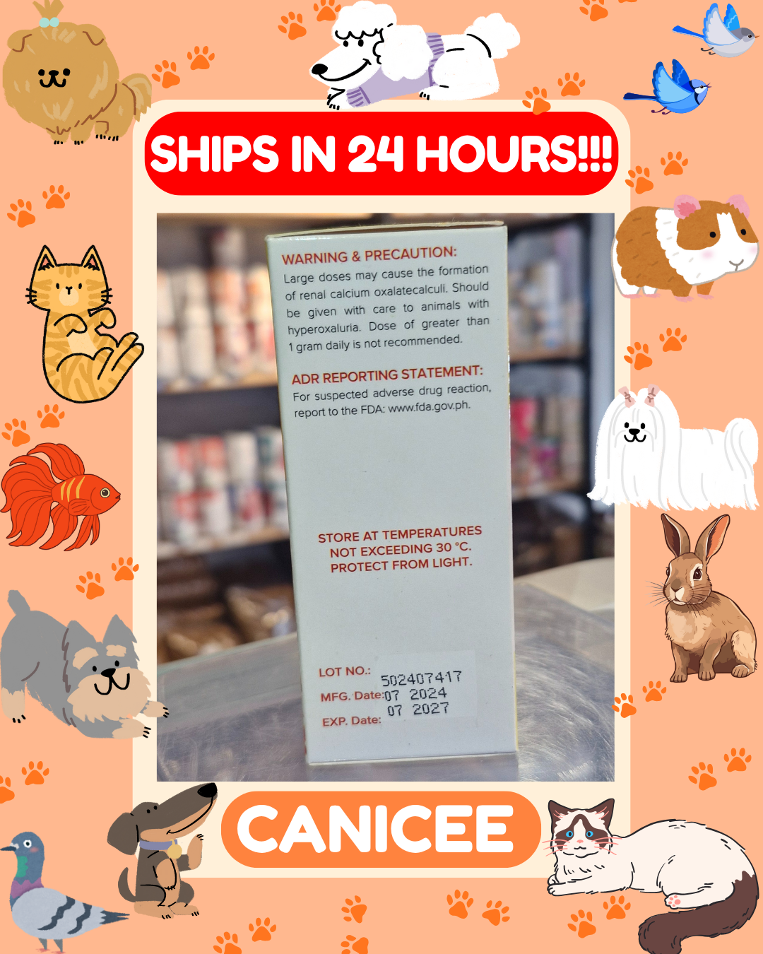 Canicee 60ml - Ascorbic Acid For Dogs And Cats - PetSure FurC Prefolic ...
