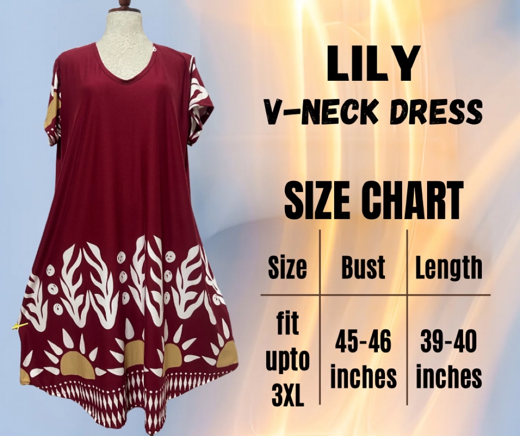 LILY 3XL PLUS SIZE PAMBAHAY DRESS WITH SLEEVE WITH POCKET | Shopee ...