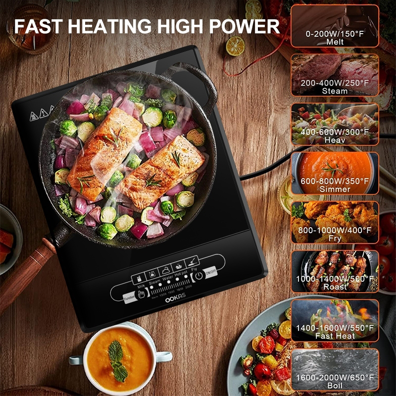 OOKAS Multifunctional Induction Cooker Inverter Electric Stove Heavy ...